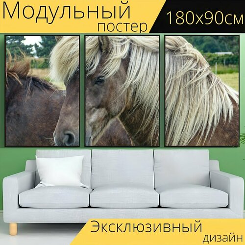 Модульный постер "Лошадь, лошадиная голова, грива" 180 x 90 см. для интерьера