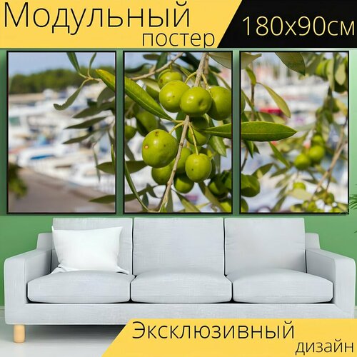 Модульный постер "Оливки, ветвь, оливковое дерево" 180 x 90 см. для интерьера