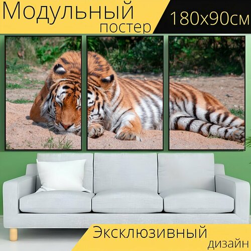 Модульный постер "Тигр, большой кот, маджестик" 180 x 90 см. для интерьера