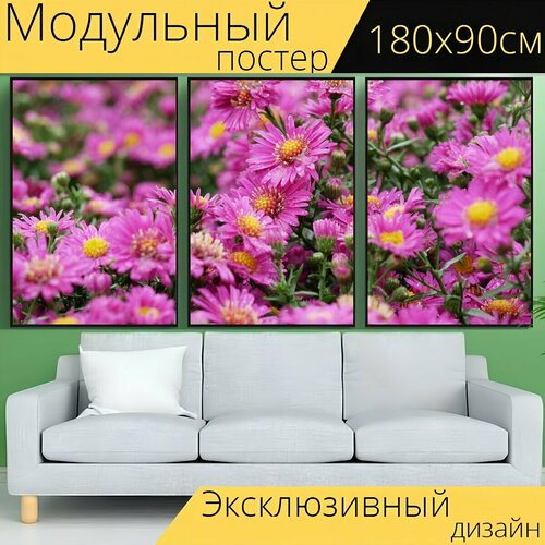 Модульный постер "Хризантемы, сад, цветы" 180 x 90 см. для интерьера