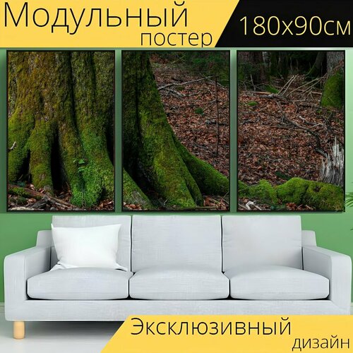 Модульный постер "Бук, племя, мох" 180 x 90 см. для интерьера