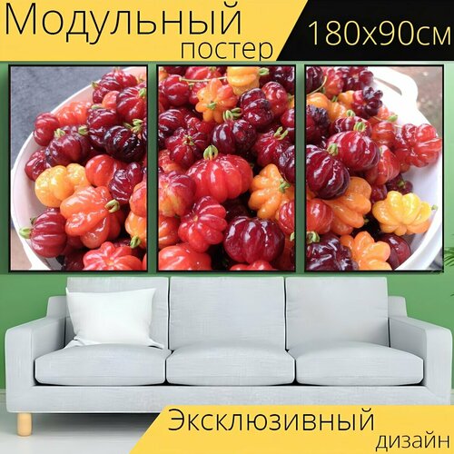 Модульный постер "Вишня, плоды, красный" 180 x 90 см. для интерьера