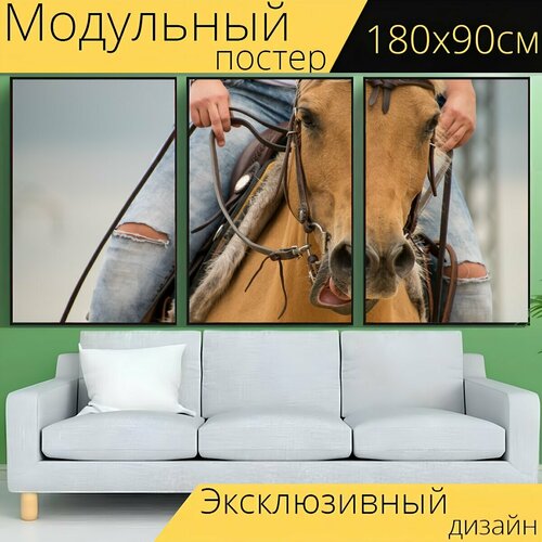 Модульный постер "Лошадь, езда на лошади, животное" 180 x 90 см. для интерьера