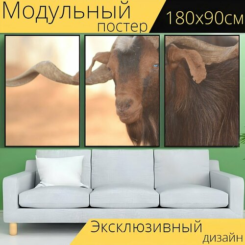 Модульный постер "Овец, козел, домашний скот" 180 x 90 см. для интерьера