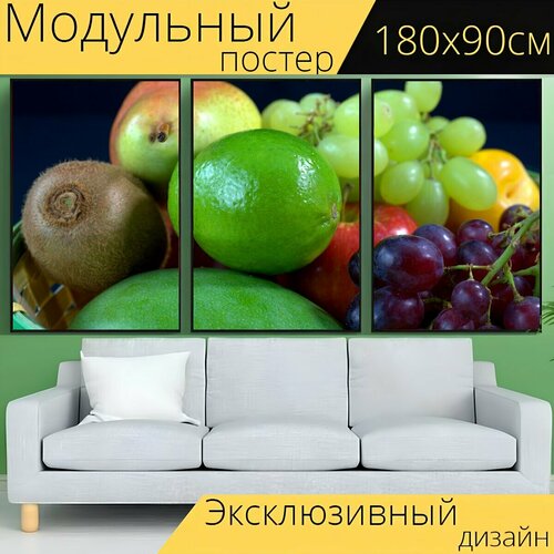 Модульный постер "Фрукты, корзина фруктов, здоровый" 180 x 90 см. для интерьера