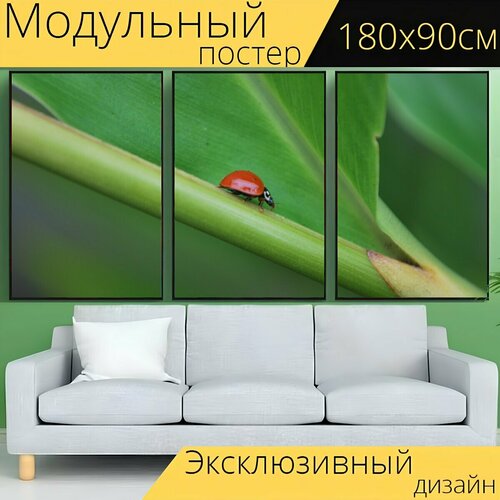 Модульный постер "Леди, жук, насекомое" 180 x 90 см. для интерьера