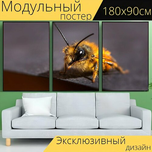 Модульный постер "Насекомые, дикие пчелы, пчелы" 180 x 90 см. для интерьера