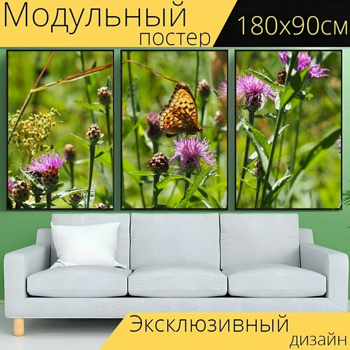 Модульный постер "Бабочка, перламутровая бабочка, цвести" 180 x 90 см. для интерьера