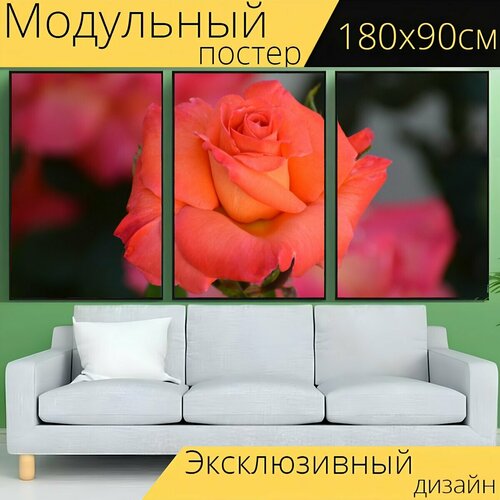 Модульный постер "Роза, сад, романтичный" 180 x 90 см. для интерьера