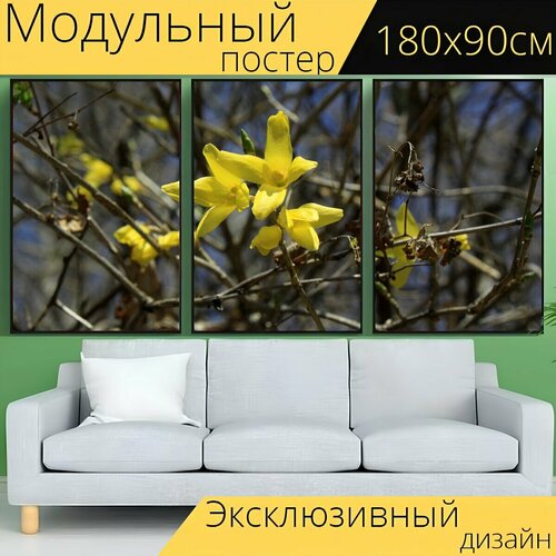 Модульный постер "Форзиция, весенние цветы, желтый цветок" 180 x 90 см. для интерьера
