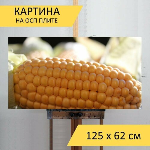 Картина на ОСП 125х62 см. "Кукуруза в початках, уборка урожая, кукуруза" горизонтальная, для интерьера, с креплениями