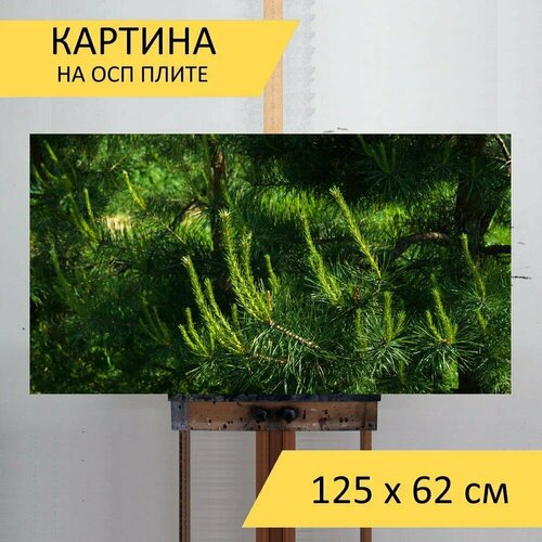 Картина на ОСП 125х62 см. "Сосна, ветки, иголки" горизонтальная, для интерьера, с креплениями