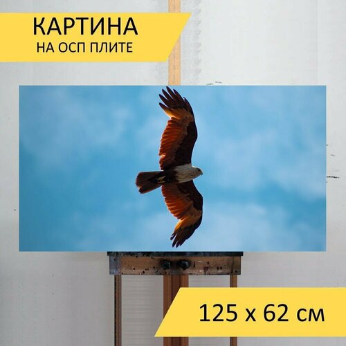 Картина на ОСП 125х62 см. "Орел, птица, летающий" горизонтальная, для интерьера, с креплениями