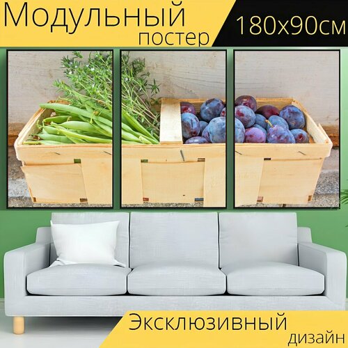 Модульный постер "Корзина с фруктами, фрукты и овощи, сливы" 180 x 90 см. для интерьера