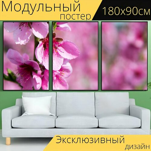 Модульный постер "Цветение персика, весна, розовый" 180 x 90 см. для интерьера