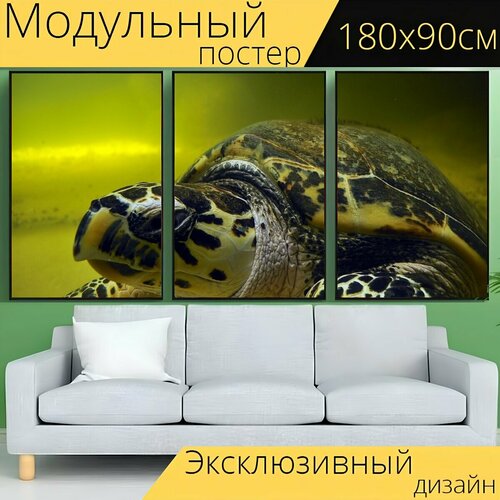 Модульный постер "Черепаха, вода, плавать" 180 x 90 см. для интерьера