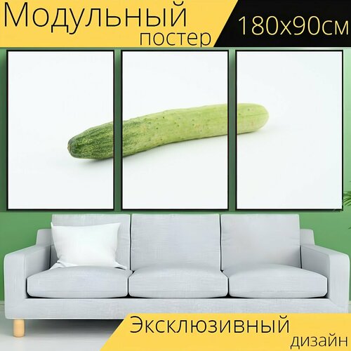 Модульный постер "Огурец, овощи, овощ" 180 x 90 см. для интерьера