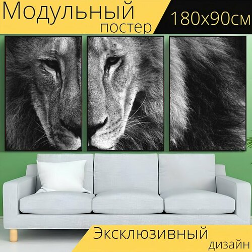 Модульный постер "Лев, животные, волосы" 180 x 90 см. для интерьера