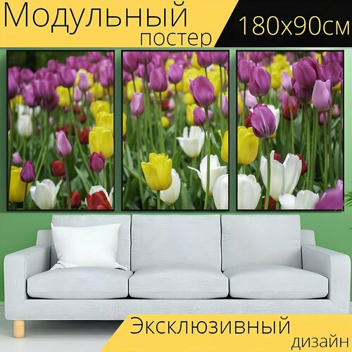 Модульный постер "Тюльпаны, цветы, поле" 180 x 90 см. для интерьера