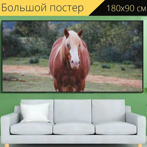 Большой постер "Лошадь, конный спорт, дикий" 180 x 90 см. для интерьера