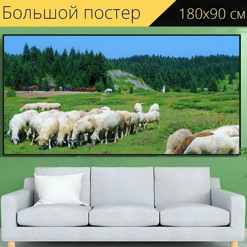 Большой постер "Овцы, пастбище, природа" 180 x 90 см. для интерьера