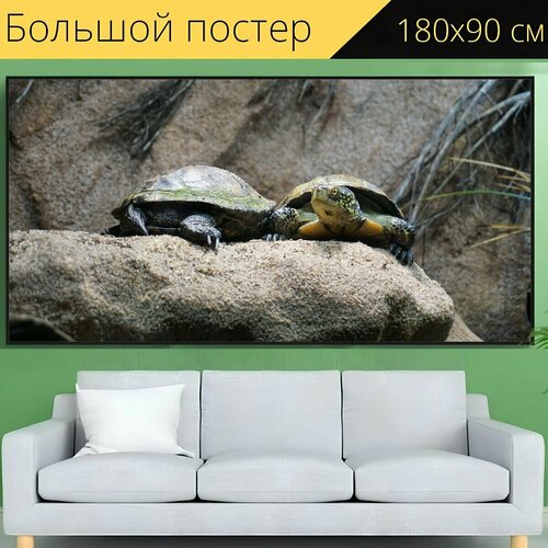 Большой постер "Черепаха, рептилия, животный мир" 180 x 90 см. для интерьера
