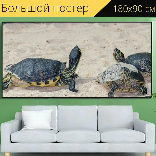 Большой постер "Черепахи, песок, пляж" 180 x 90 см. для интерьера