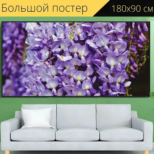 Большой постер "Глициния, цветок, фиолетовый" 180 x 90 см. для интерьера