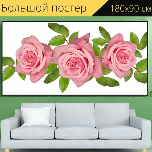 Большой постер "Цветы, розовый, розы" 180 x 90 см. для интерьера