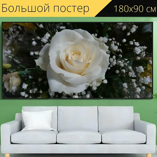 Большой постер "Роза, белый, цветок" 180 x 90 см. для интерьера