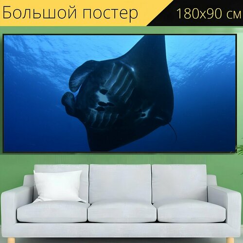 Большой постер "Рыбы, подводное плавание, подводный" 180 x 90 см. для интерьера
