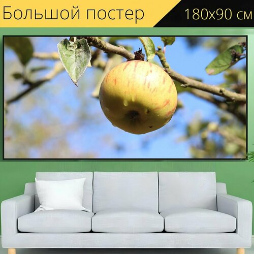 Большой постер "Яблоко, фрукты, дерево" 180 x 90 см. для интерьера