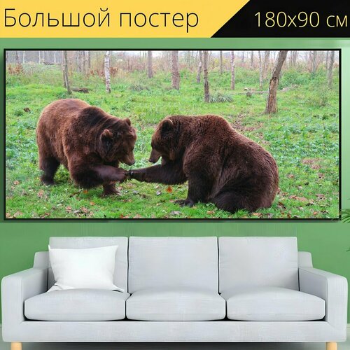 Большой постер "Нести, медведи, бурый медведь" 180 x 90 см. для интерьера