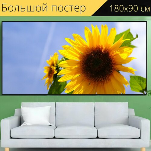 Большой постер "Подсолнечник, цветок, солнце небо" 180 x 90 см. для интерьера