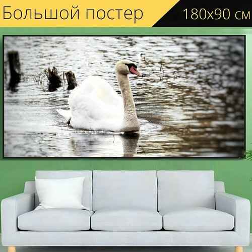 Большой постер "Лебедь, птица, озеро" 180 x 90 см. для интерьера