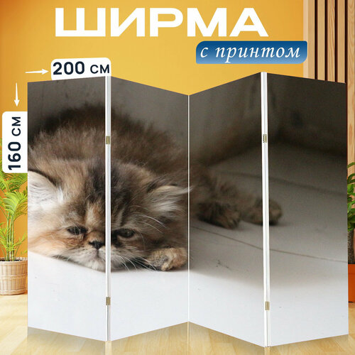 Ширма перегородка с принтом "Кошка, кошачий, домашний питомец" на холсте - 200x160 см. для зонирования, раскладная