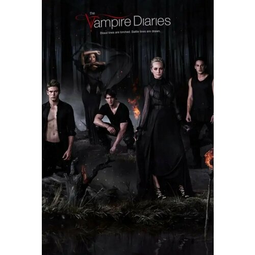 Плакат, постер The Vampire Diaries, сериал. Дневники вампира на холсте, размер 30х42см