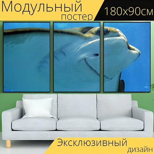 Модульный постер "Хвостоколового, пахло, подводный" 180 x 90 см. для интерьера