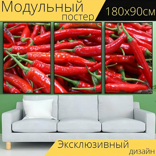 Модульный постер "Перец чили, рынок, овощи" 180 x 90 см. для интерьера