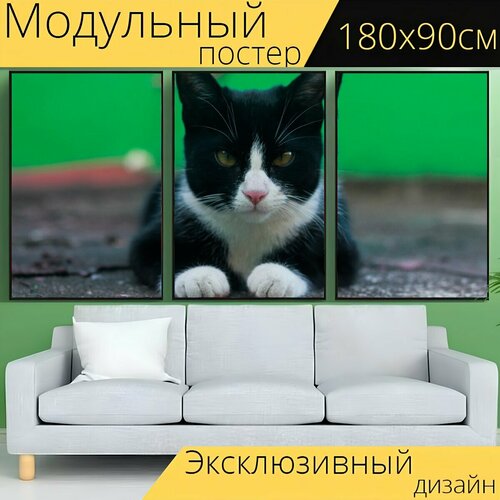 Модульный постер "Кошка, животное, чернить" 180 x 90 см. для интерьера