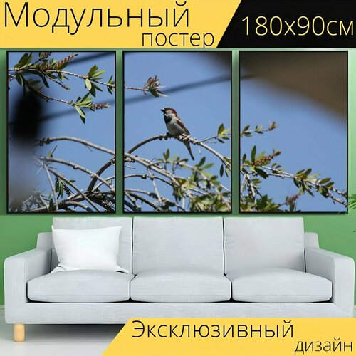 Модульный постер "Птица, гнездо, природа" 180 x 90 см. для интерьера