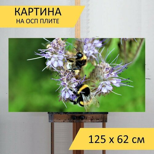 Картина на ОСП 125х62 см. "Насекомое, жук, пчела" горизонтальная, для интерьера, с креплениями