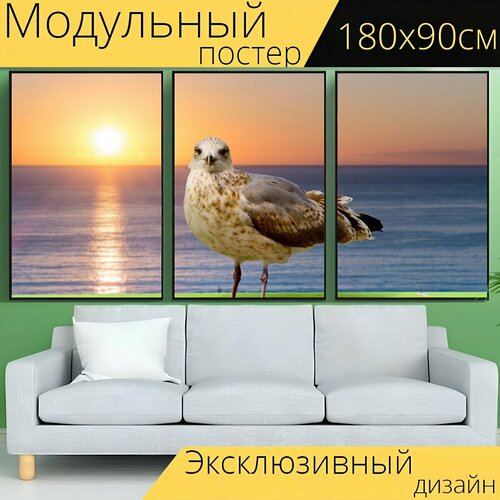 Модульный постер "Чайка, птица, животное" 180 x 90 см. для интерьера