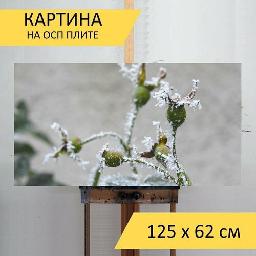 Картина на ОСП 125х62 см. "Ледяные кристаллы, иней, листья" горизонтальная, для интерьера, с креплениями