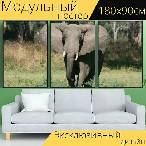 Модульный постер "Слон, африка, зимбабве" 180 x 90 см. для интерьера
