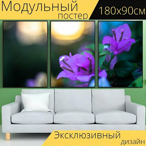 Модульный постер "Цветы, фиолетовые цветы, цвести" 180 x 90 см. для интерьера
