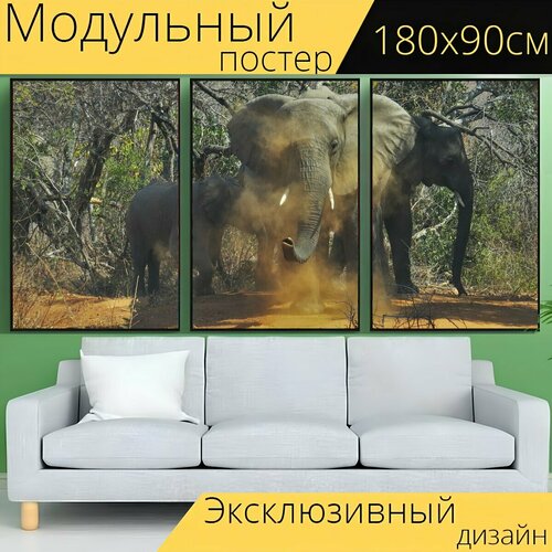 Модульный постер "Слон, дикая жизнь, природа" 180 x 90 см. для интерьера
