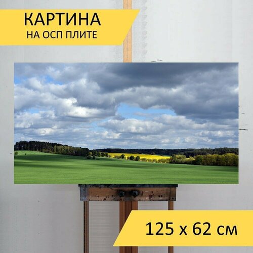 Картина на ОСП 125х62 см. "Рапсовое, поле, желтый" горизонтальная, для интерьера, с креплениями