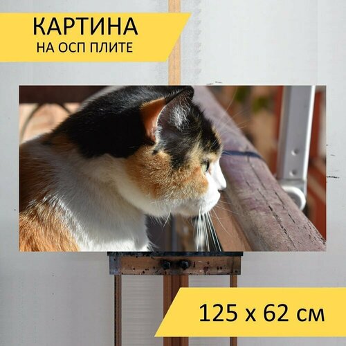 Картина на ОСП 125х62 см. "Кошка, голова, кошачий" горизонтальная, для интерьера, с креплениями