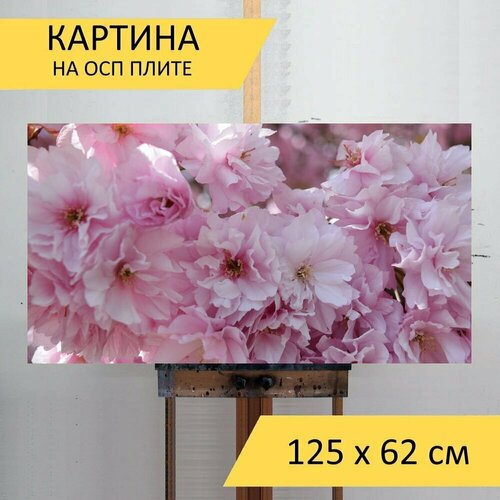 Картина на ОСП 125х62 см. "Японская вишня, цвести, розовый" горизонтальная, для интерьера, с креплениями